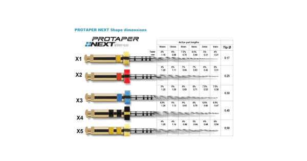 Protaper Next File